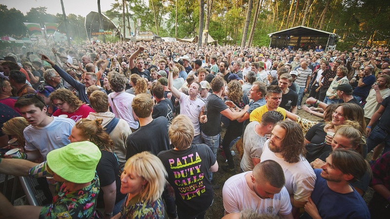KINK - Dit is wat je moet weten voor Dauwpop